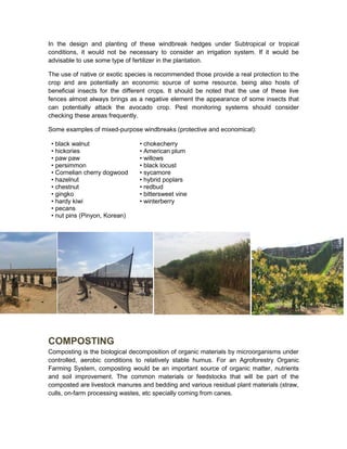 Avocado - a Short guide for Growing and Operational Procedures.pdf