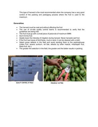 Avocado - a Short guide for Growing and Operational Procedures.pdf