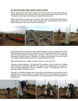 Avocado - a Short guide for Growing and Operational Procedures.pdf