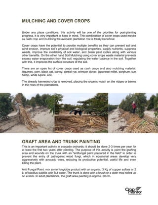 Avocado - a Short guide for Growing and Operational Procedures.pdf