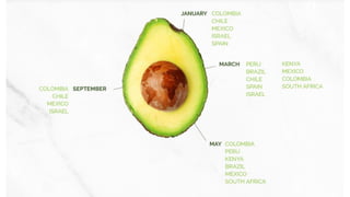 Avocado Deep Dive | PPT