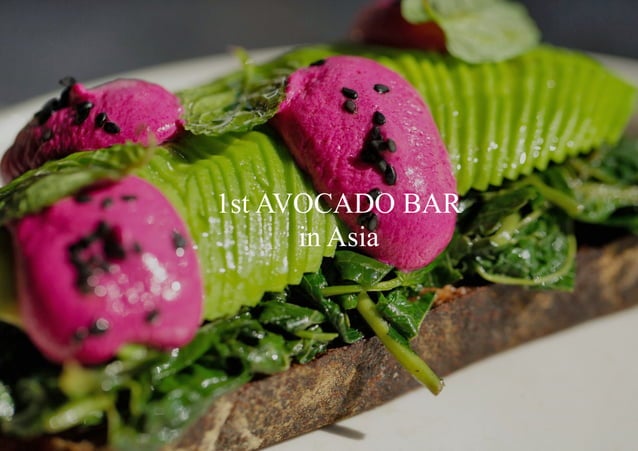 Avocado factory plan | PPT