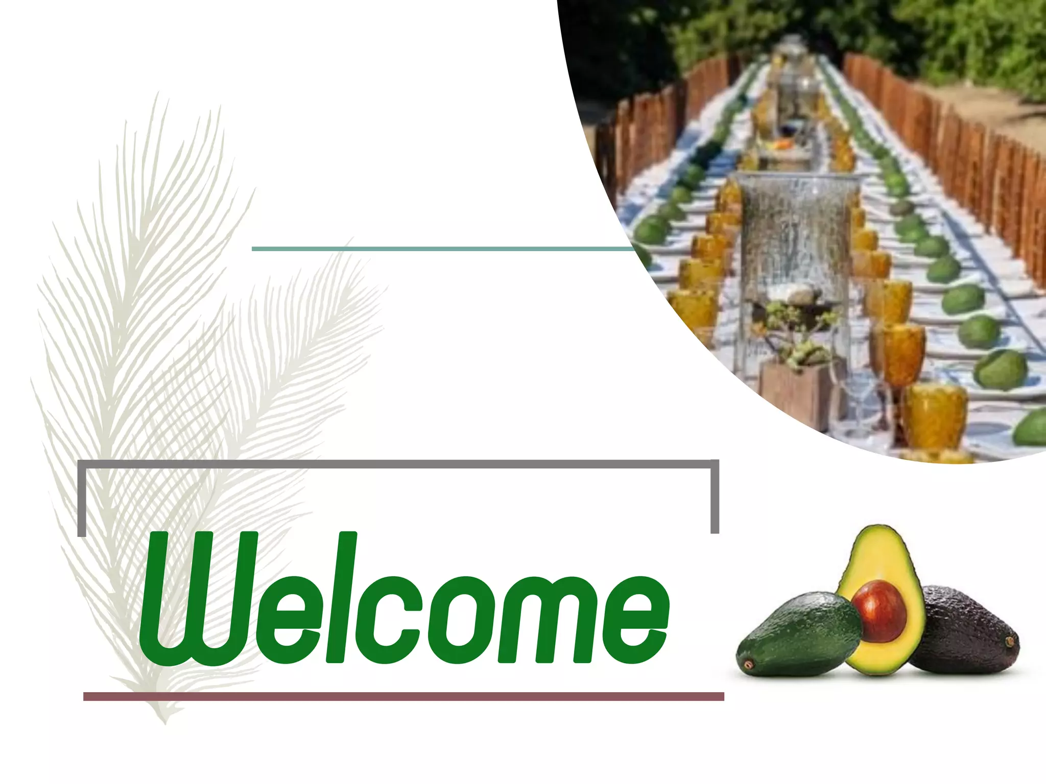 Package of Practices of Avocado | PDF