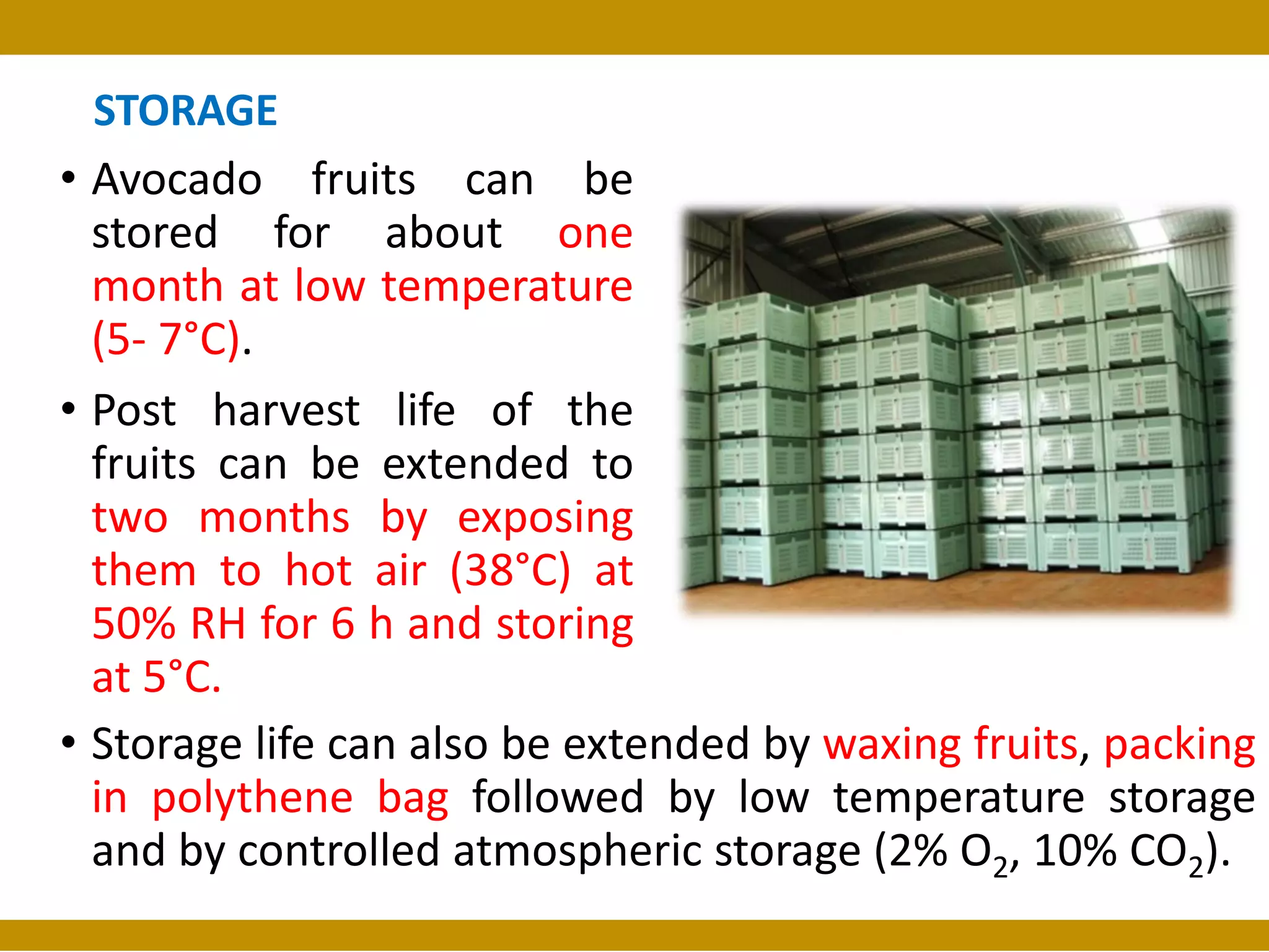 Package of Practices of Avocado | PDF