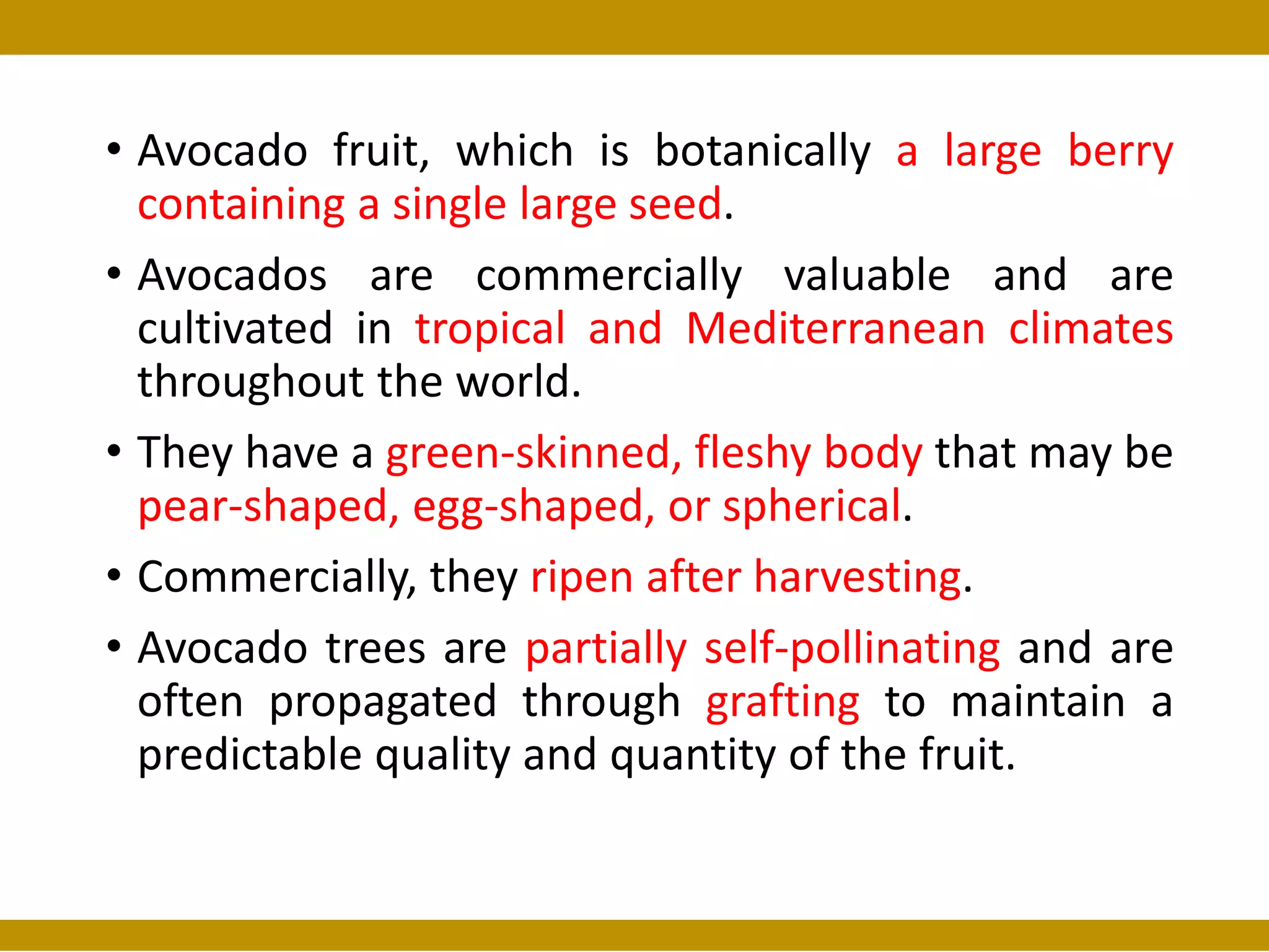 Package of Practices of Avocado | PDF