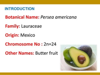 Package of Practices of Avocado | PDF