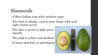 AVOCADO PRODUCTION.pptx