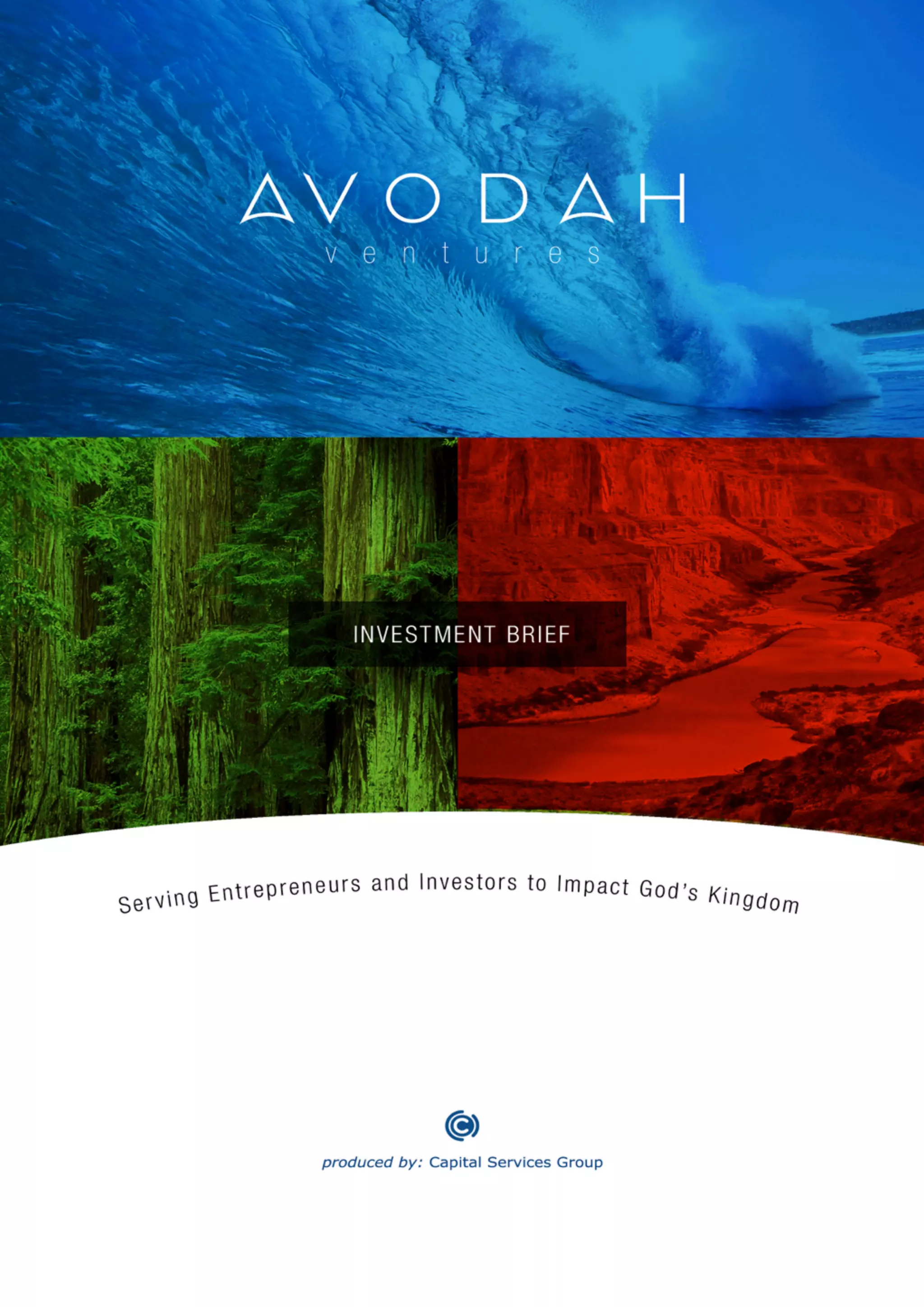Avodah Investment Brief - 2015 | PDF | Personal Investing | Personal Finance