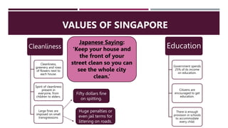 A voyage to the city of lions ppt.pptx