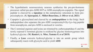 AVP and Aquaporins role in water reabsorption and Urine concentartion.pptx