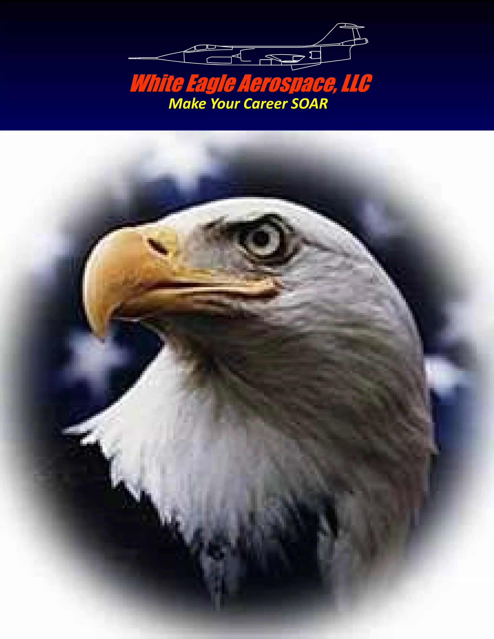 AVP Brochure 2011 | PDF