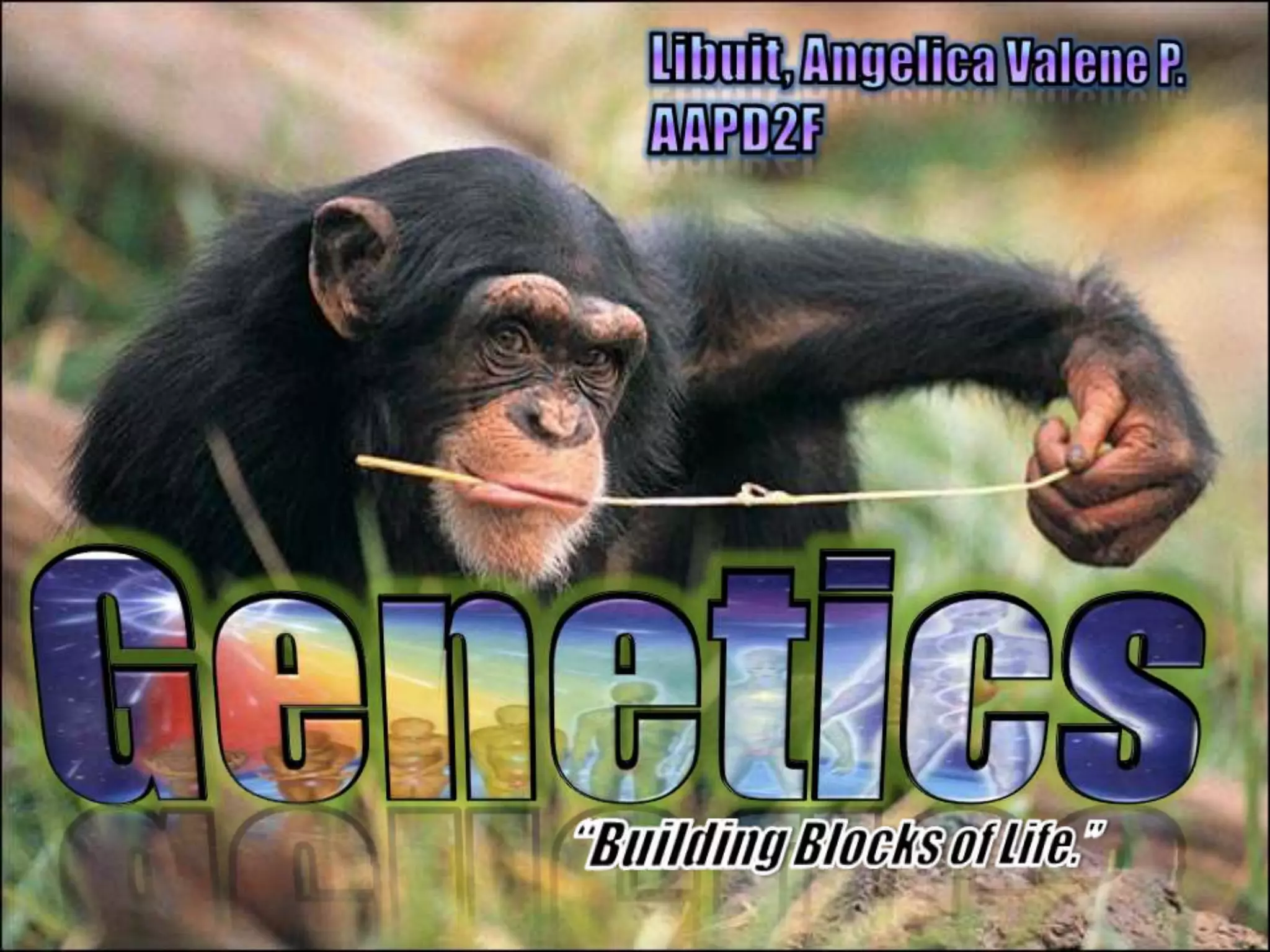 Avpl genetics | PPTX