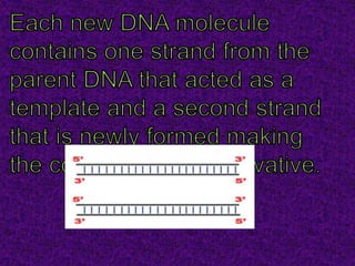 Avpl genetics | PPTX
