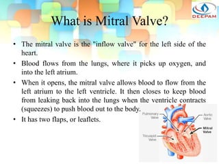 AVR - MVR all you need to know about Valve Repair & Replacement | PPTX