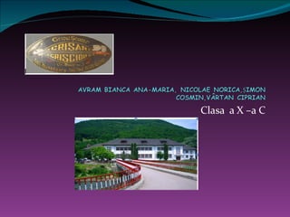 Avram bianca ana maria, nicolae norica,Șimon cosmin,vârtan ciprian | PPT