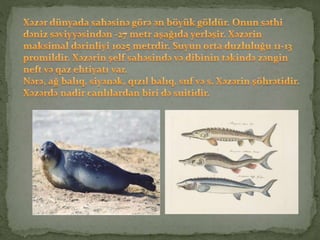 Avrasiyanin daxili sulari | PPTX