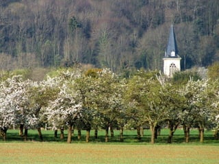 Avril en meuse | PPT