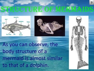 Mermaids Real or Not | PPTX