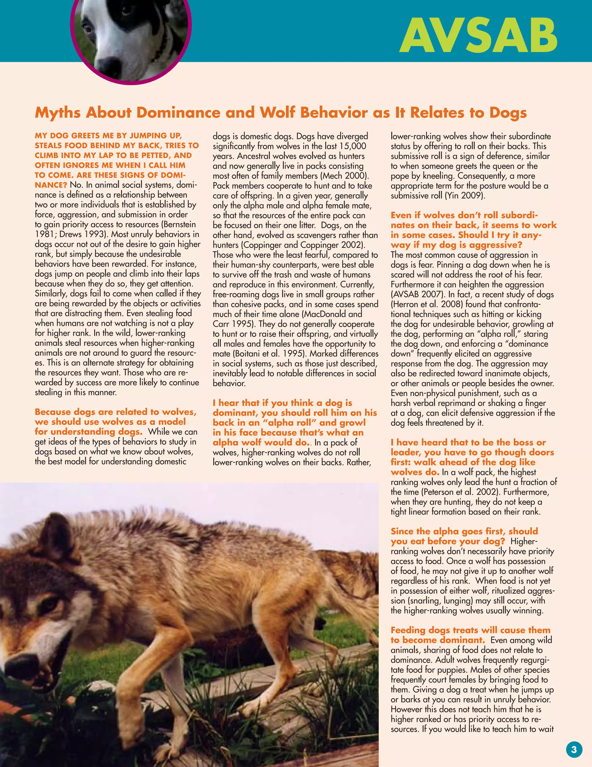 AVSAB Position Statement on Dominance | PDF