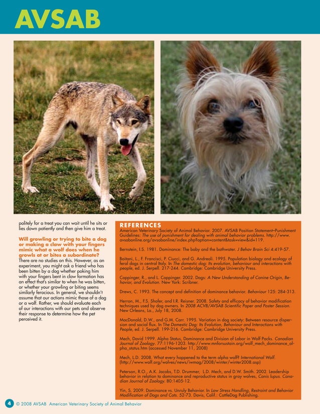 AVSAB Position Statement on Dominance | PDF | Dogs | Pets