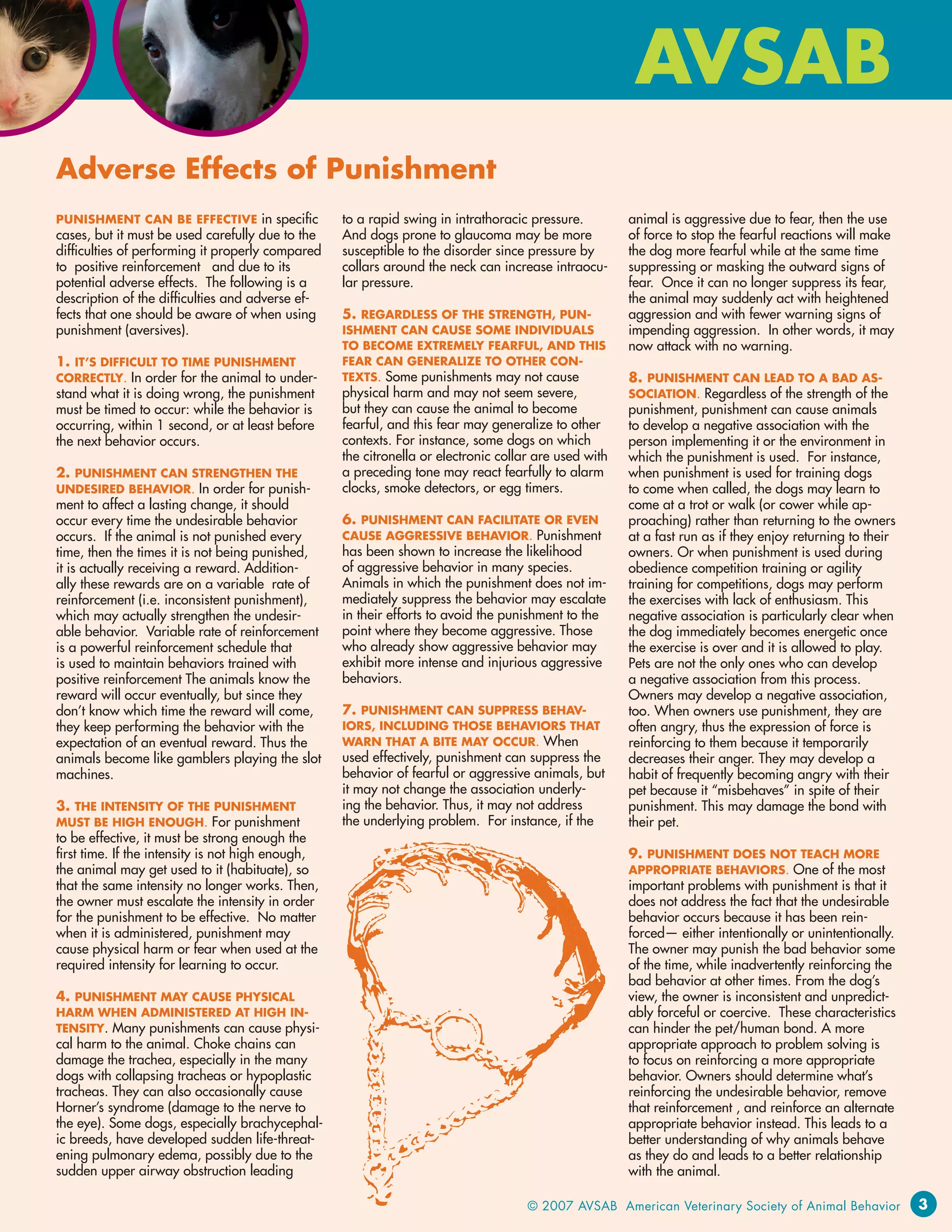 AVSAB Position Statement on Punishment | PDF | Veterinary Medicine | Pets