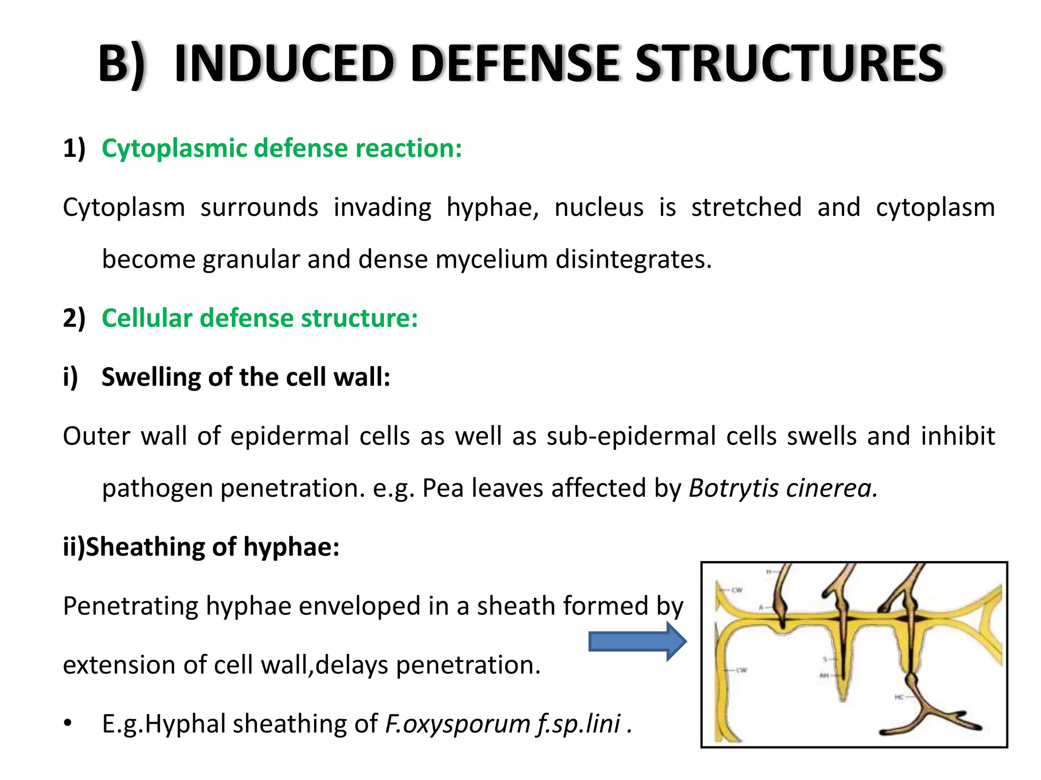 Avs defense responses of plants to pathogen | PPTX