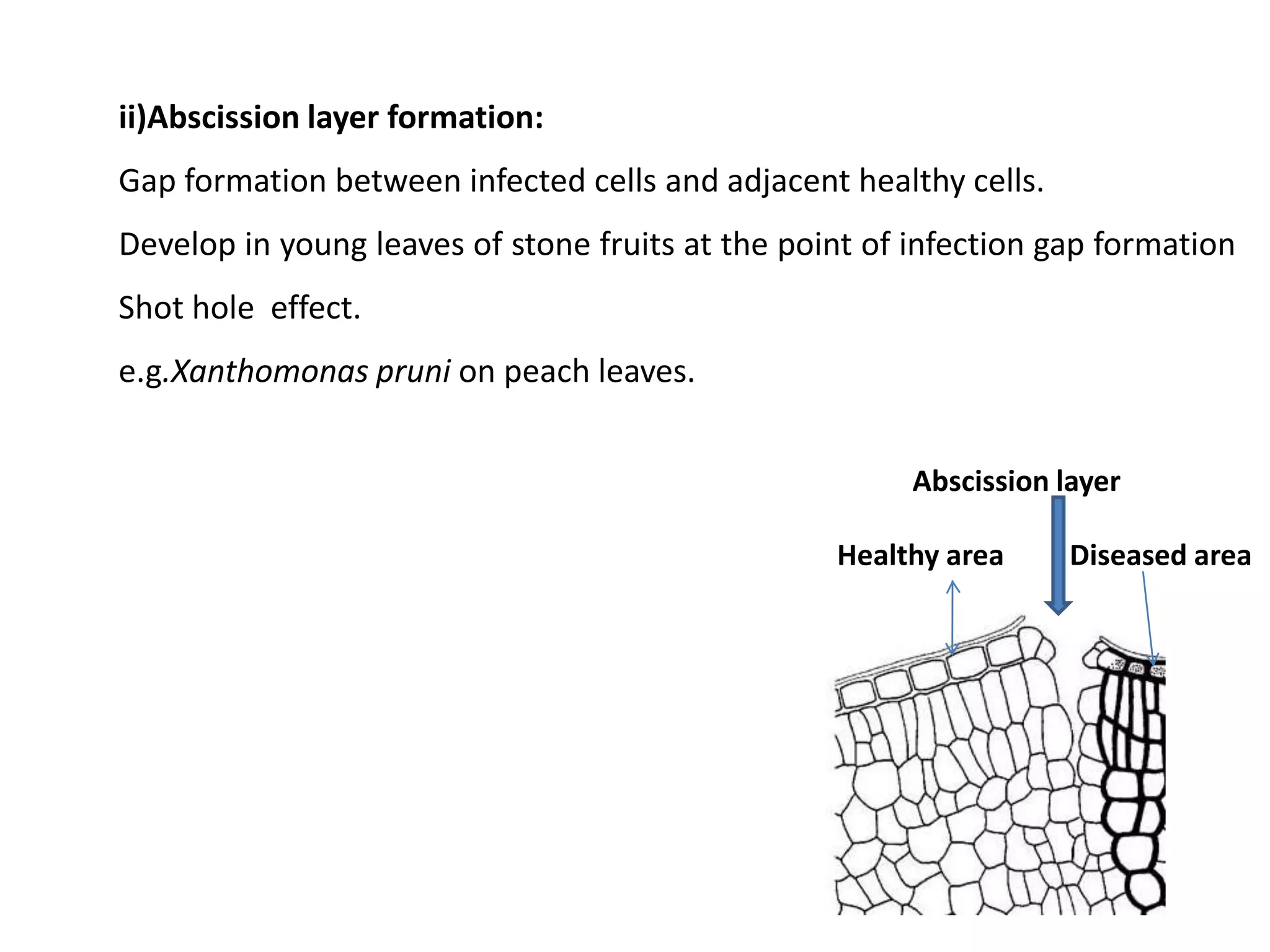 Avs defense responses of plants to pathogen | PPTX