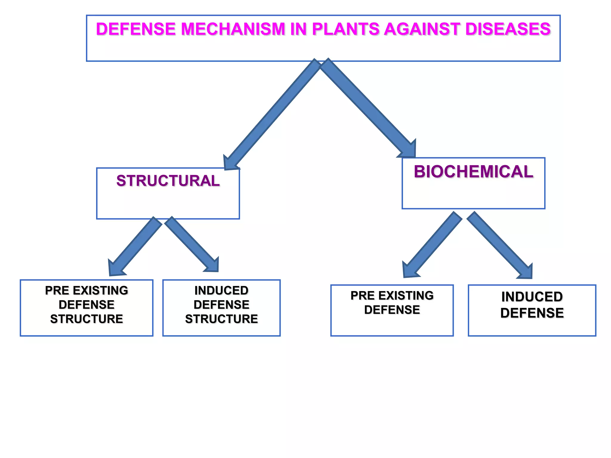 Avs defense responses of plants to pathogen | PPTX