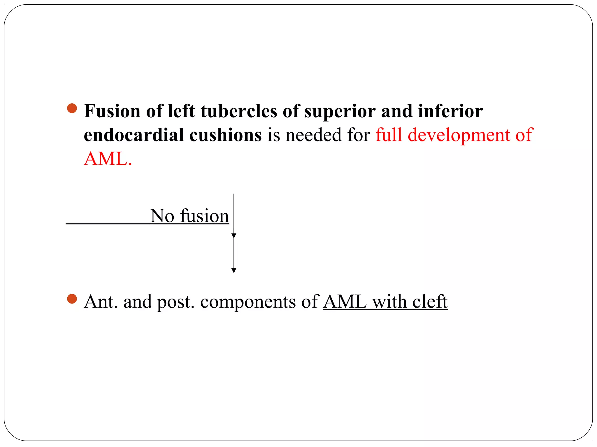 AV septal defects (AVCD) | PPT
