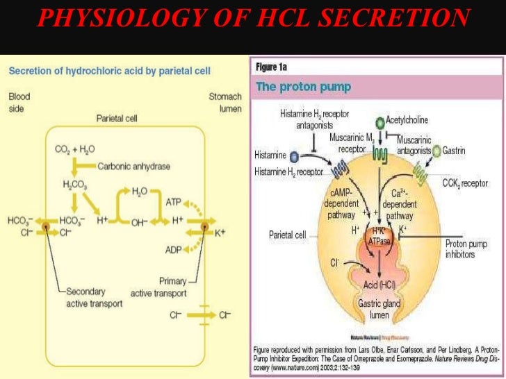 proton pump inhibitors PPT