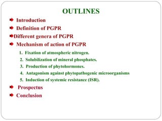 Avs role of plant growth promoting rhizobacteria in disease | PPT
