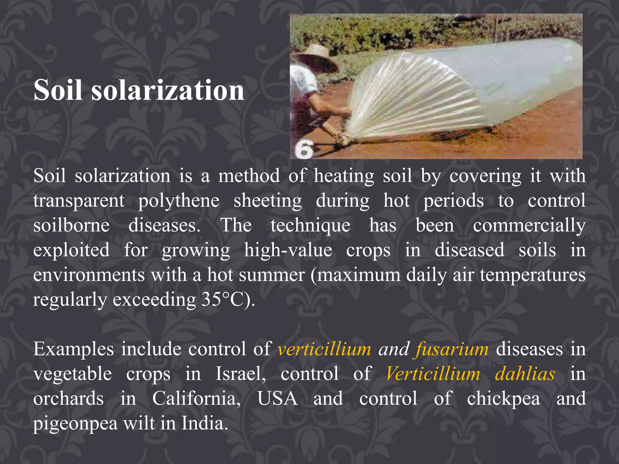 Avs sustainable management of soil borne plant diseases | PPTX