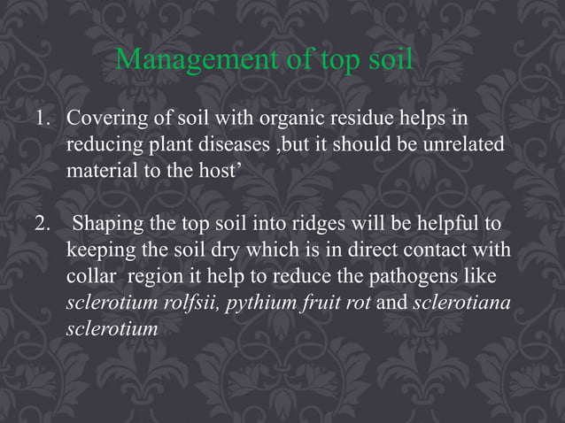 Avs sustainable management of soil borne plant diseases | PPTX