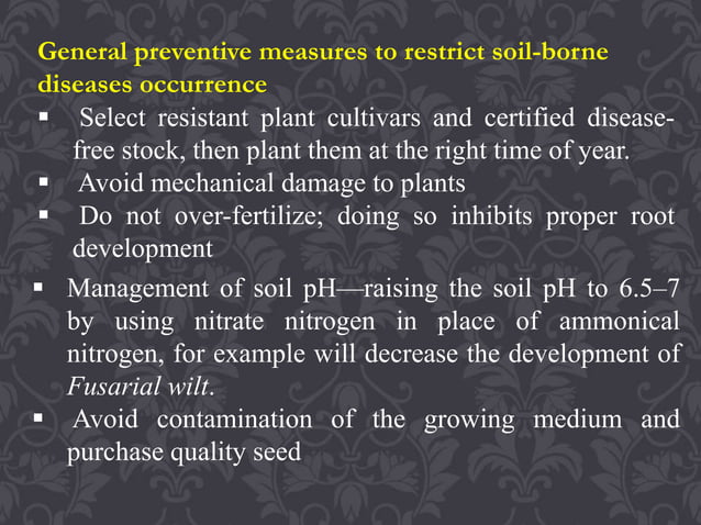 Avs sustainable management of soil borne plant diseases | PPTX