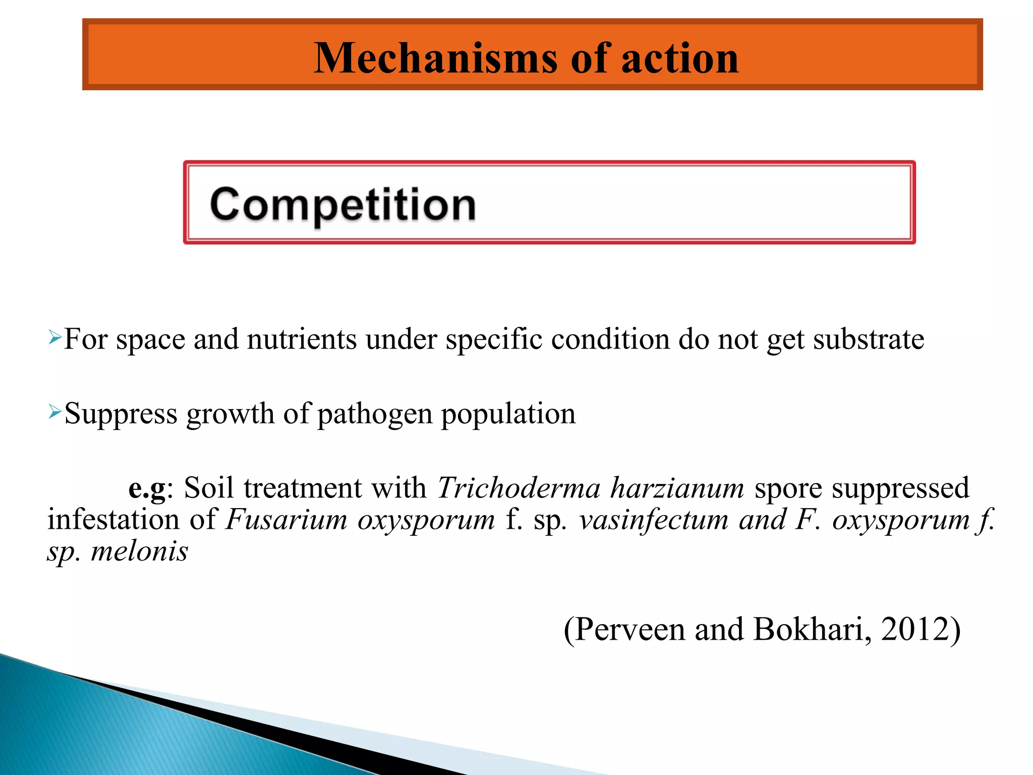 Avs trichodrma as a biocontrol agent | PPT