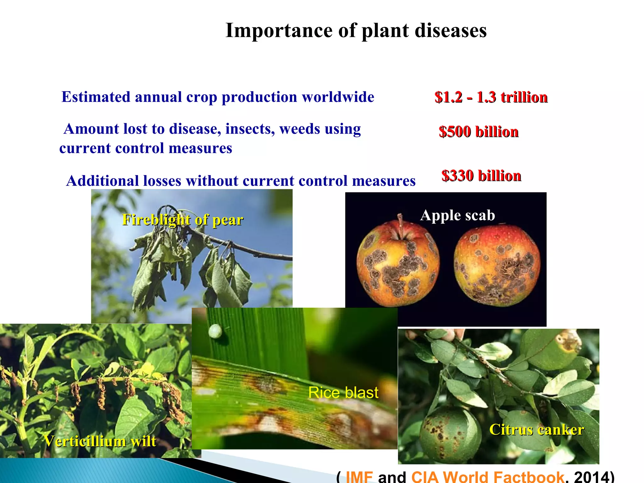 Avs trichodrma as a biocontrol agent | PPT