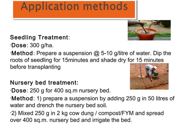Avs trichodrma as a biocontrol agent | PPT | Gardening | Home & Garden