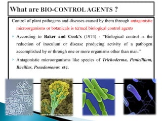 Avs trichodrma as a biocontrol agent | PPT