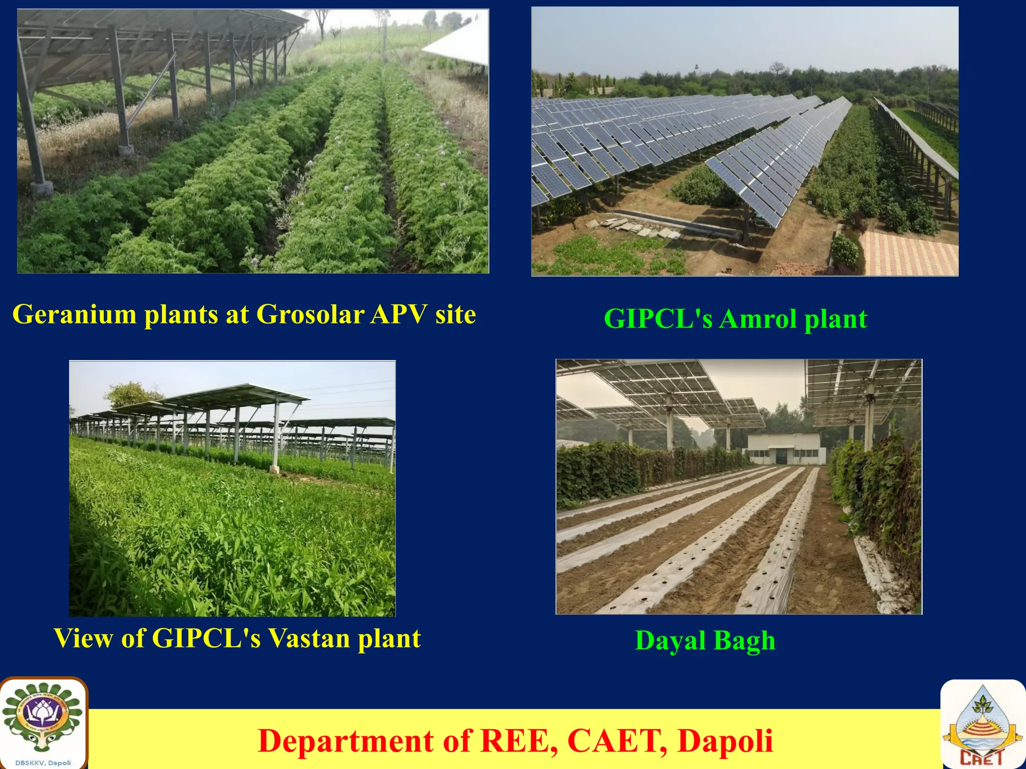 Green Growth: Agrovoltaic Solution for Energy and Food Security By ''M ...
