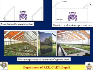 Green Growth: Agrovoltaic Solution for Energy and Food Security By ''M ...