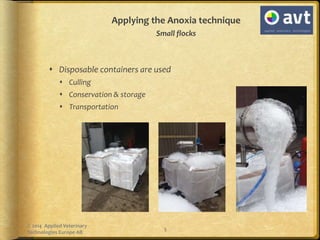 AVT session 5: Applying the Anoxia Technique | PPTX