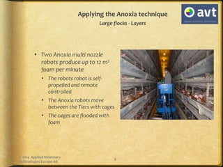 AVT session 5: Applying the Anoxia Technique | PPTX