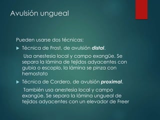 Avulsión ungueal y matricectomía total | PPTX