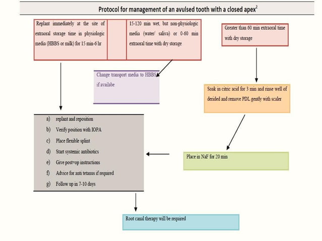 Avulsion | PPT | Dental Health | Diseases and Conditions