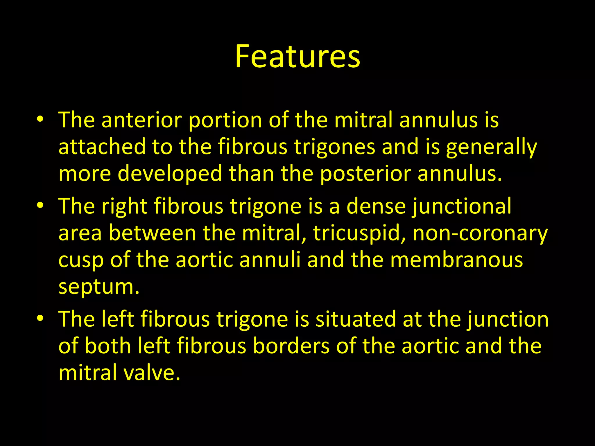 Atrioventricular valves (Mitral and Tricuspid) - Surgical anatomy | PPTX