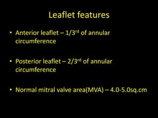 Atrioventricular valves (Mitral and Tricuspid) - Surgical anatomy | PPTX
