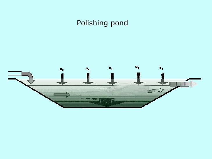 Dewats Decentralised natural waste water treatment system
