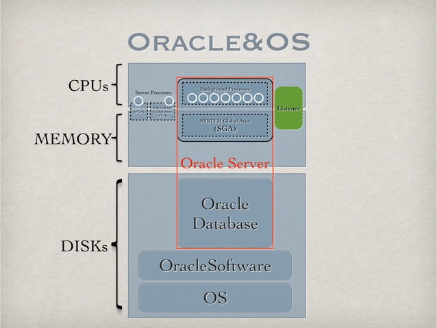Oracle Database Management Basic 1 | PPT
