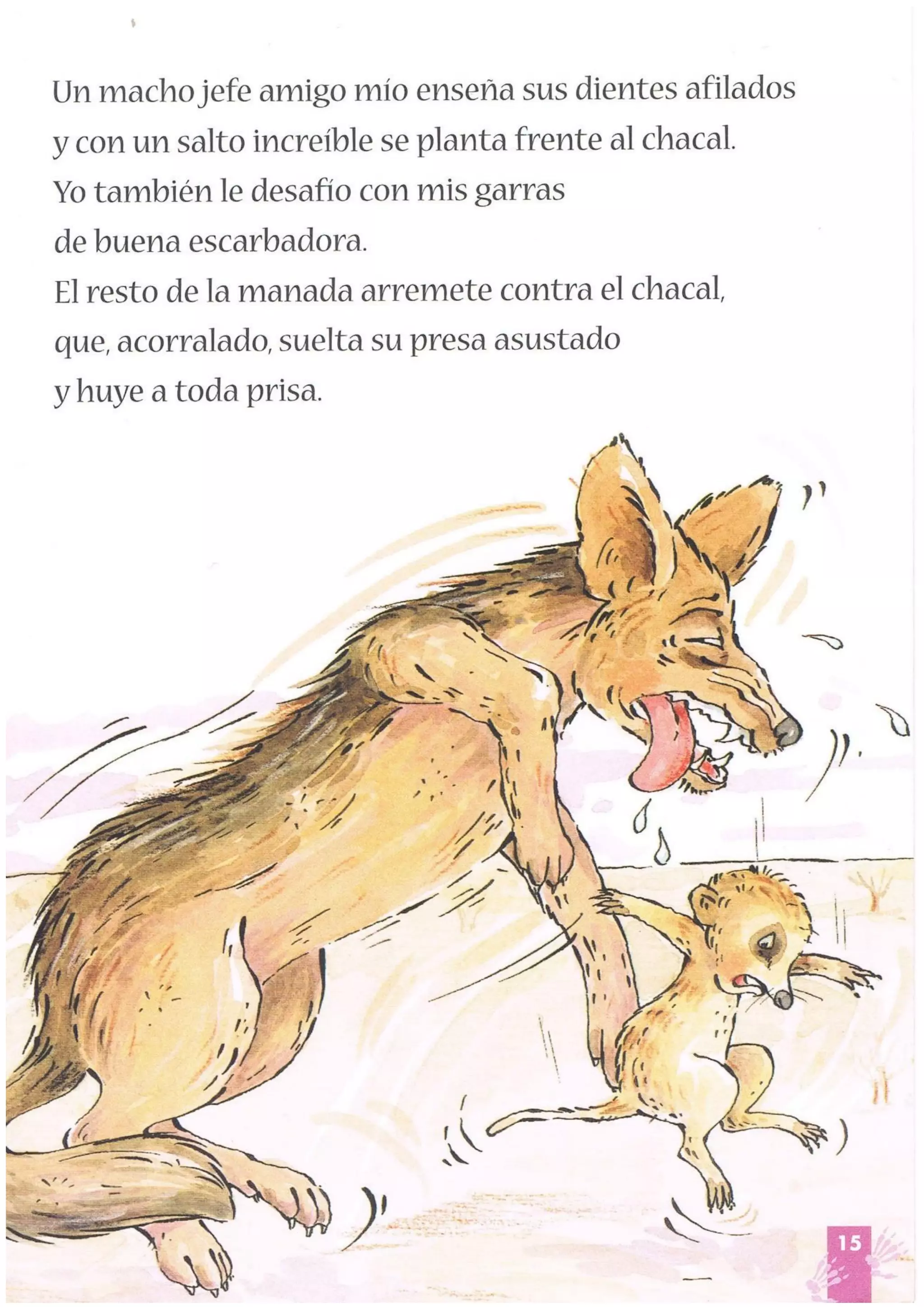 Riki suricata africano | PDF