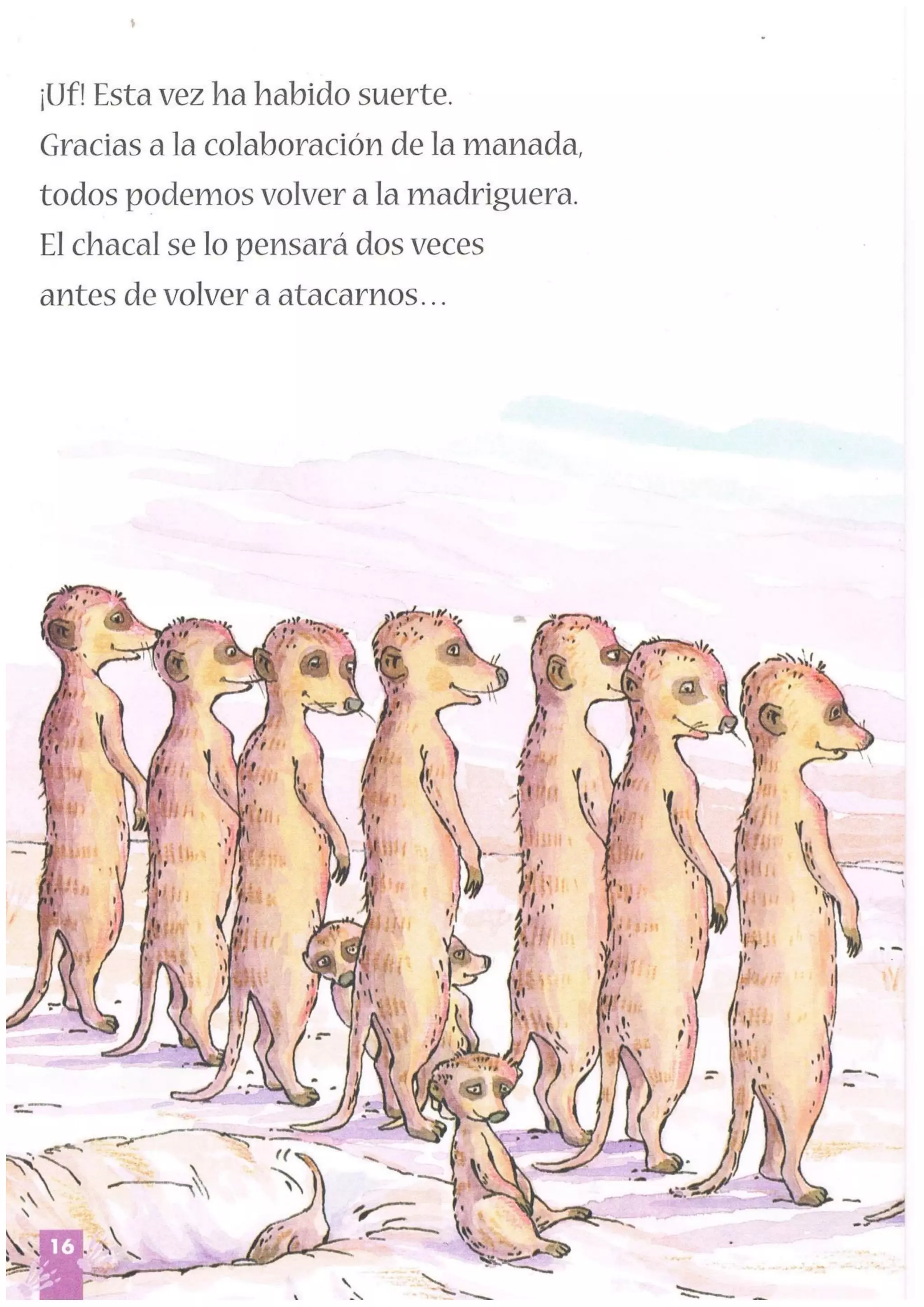 Riki suricata africano | PDF